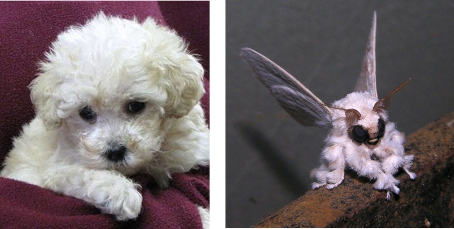 The One-Eyed leading the Blind – Part 3: Farewell, Mythical Machine.